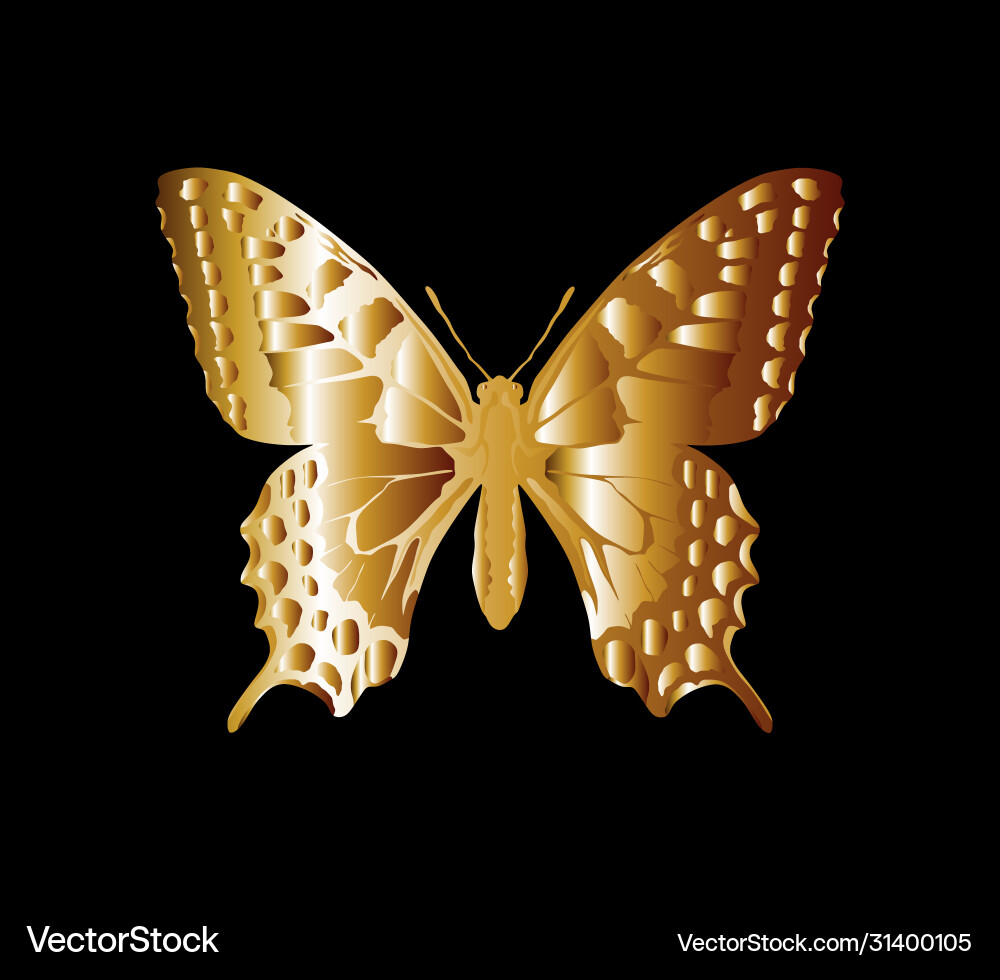 Golden butterfly art symbol Royalty Free Vector Image