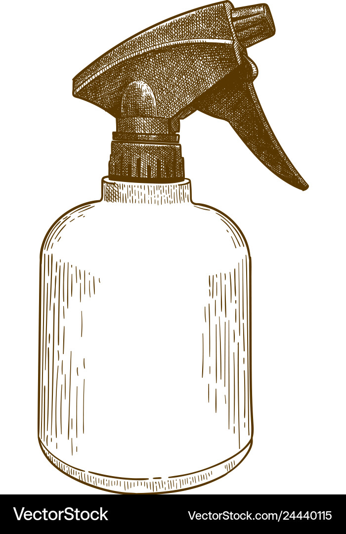 Engraving of spray bottle Royalty Free Vector Image