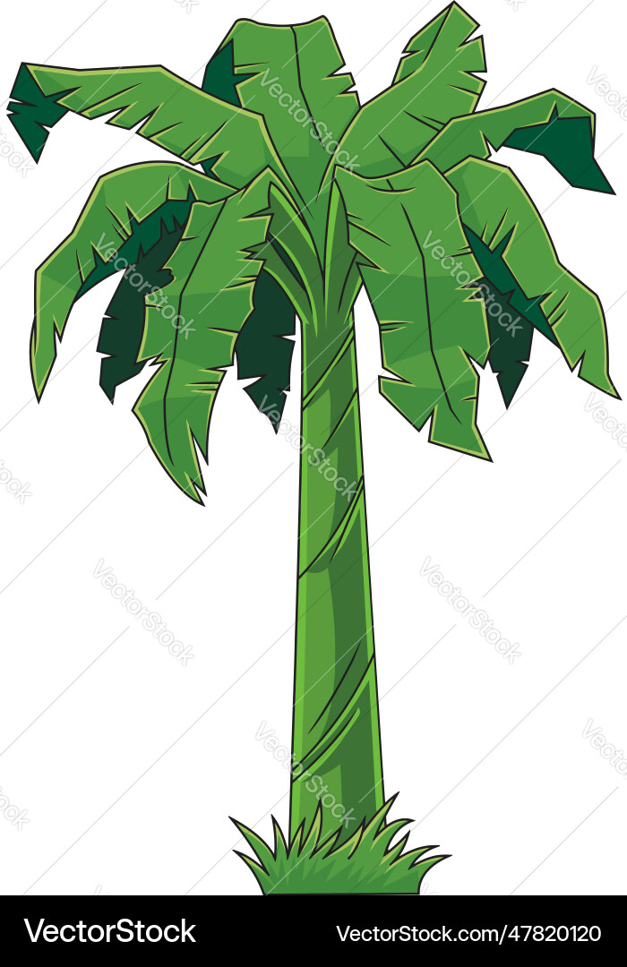 Abstract cartoon tropical green palm tree Vector Image