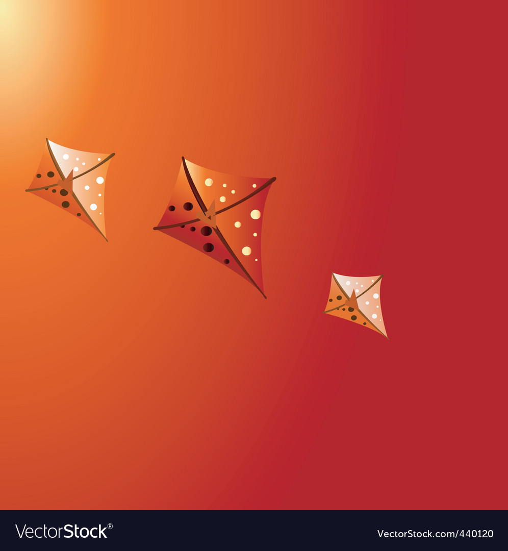 Kites Royalty Free Vector Image - VectorStock