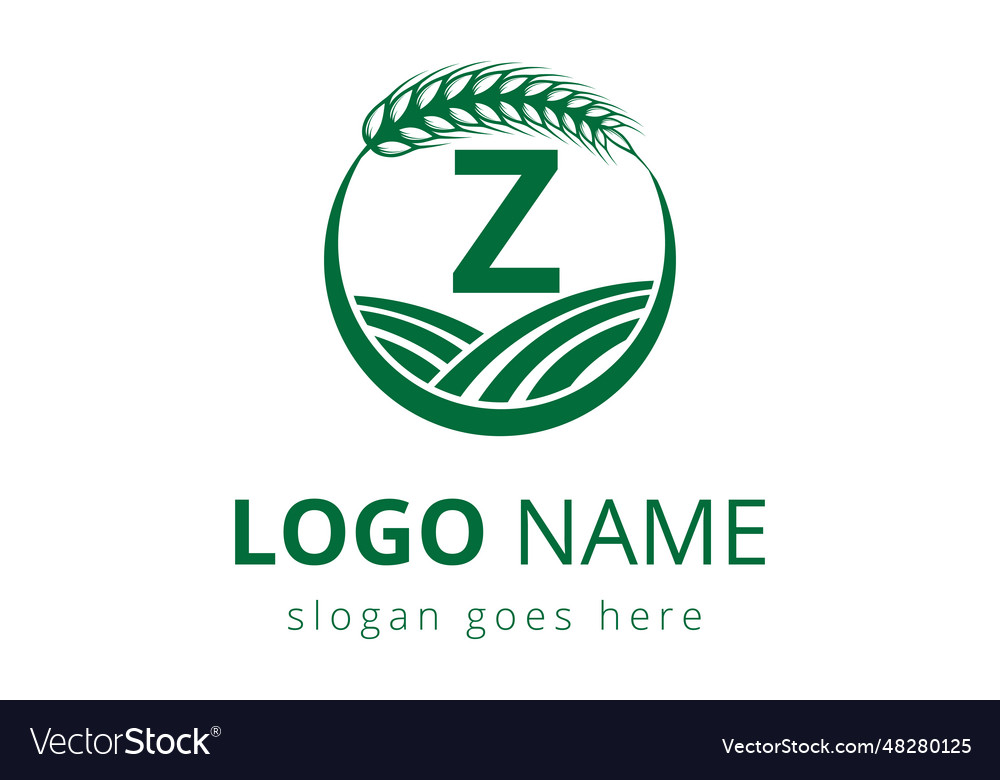 Agriculture logo on z letter concept wheat Vector Image