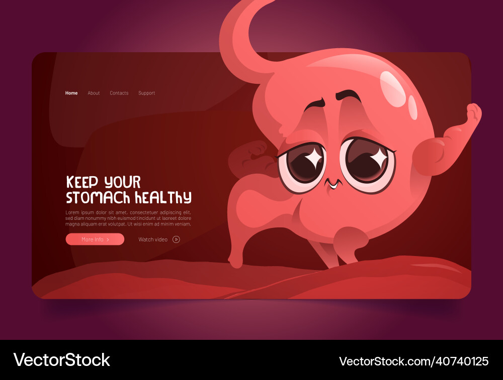 Keep your stomach healthy banner Royalty Free Vector Image