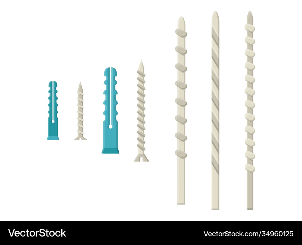 Set screws and dowels isolated on a white Vector Image