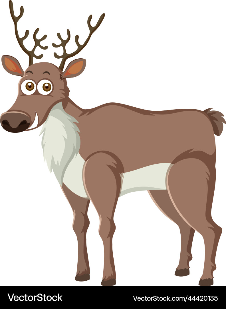 Cartoon reindeer on white background Royalty Free Vector