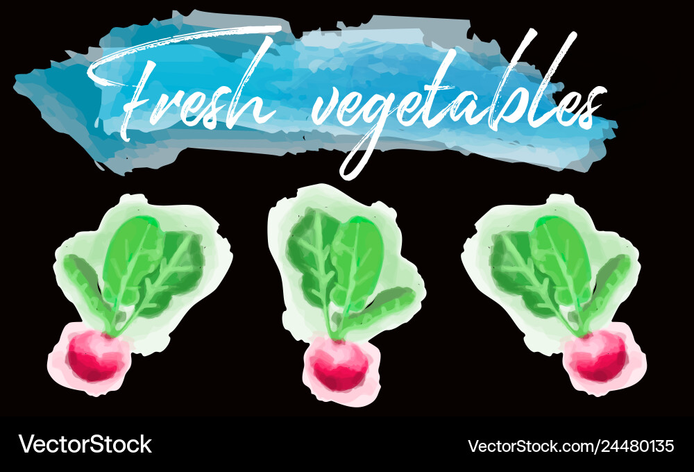Vegetables food watercolor Royalty Free Vector Image