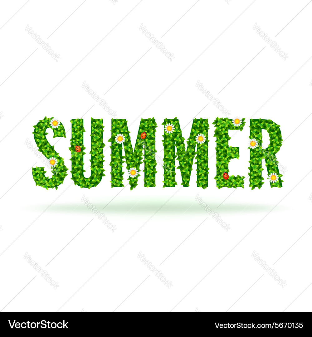 Word summer with green leaves Royalty Free Vector Image