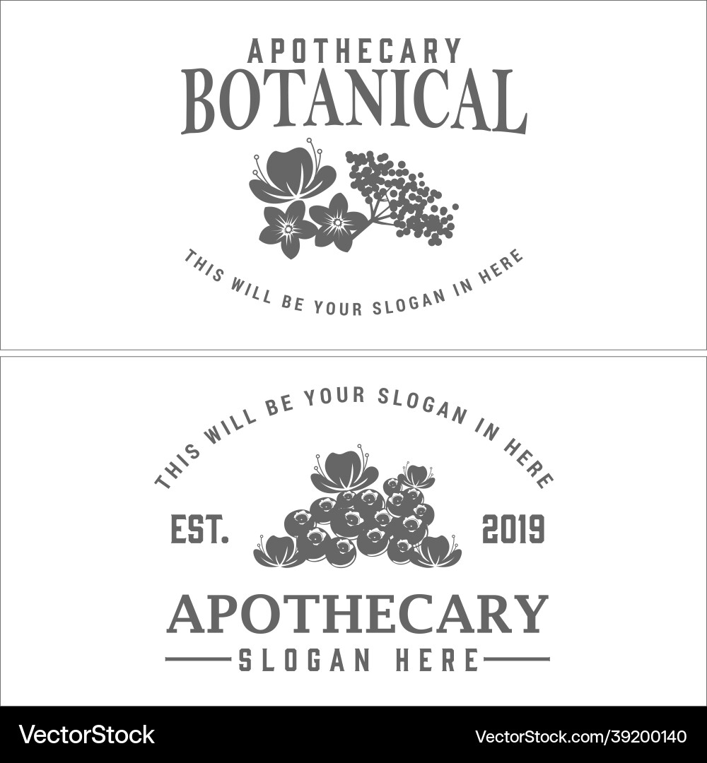 Apothecary botanical flower pollen logo design Vector Image