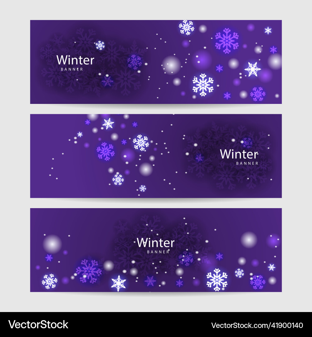 Bright snow blue snowflake design template banner Vector Image