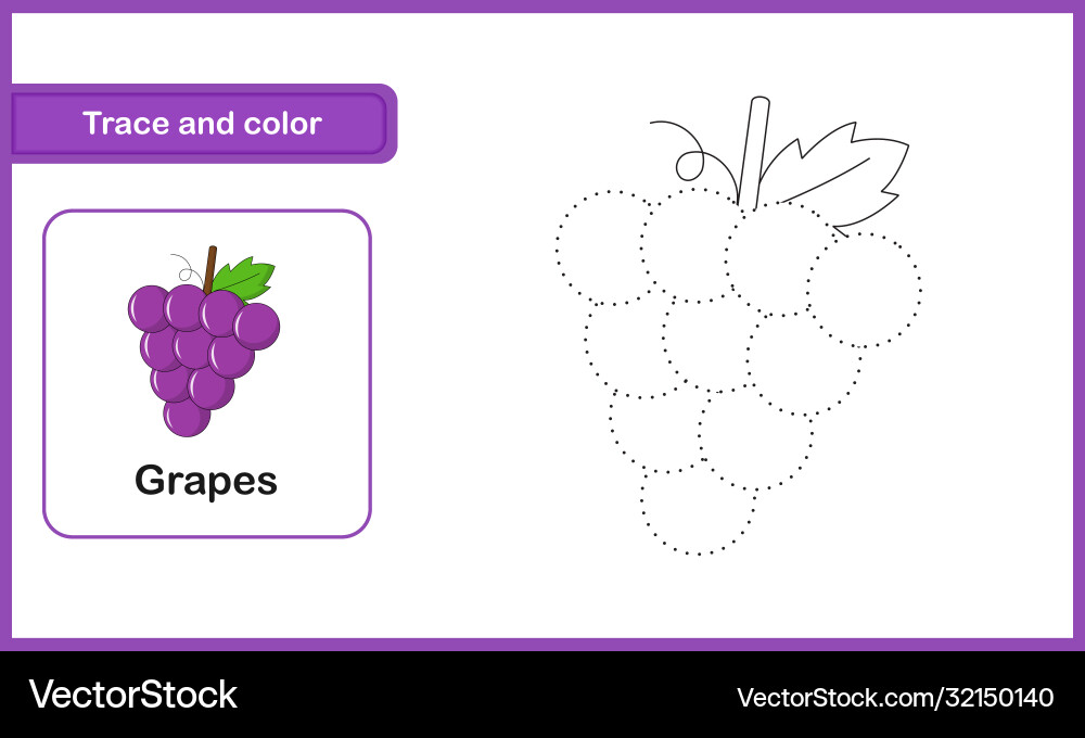 Drawing and vocabulary worksheet trace colour Vector Image