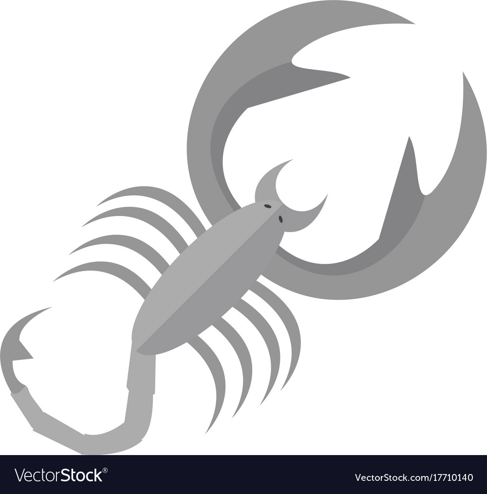 Scorpio Royalty Free Vector Image - VectorStock