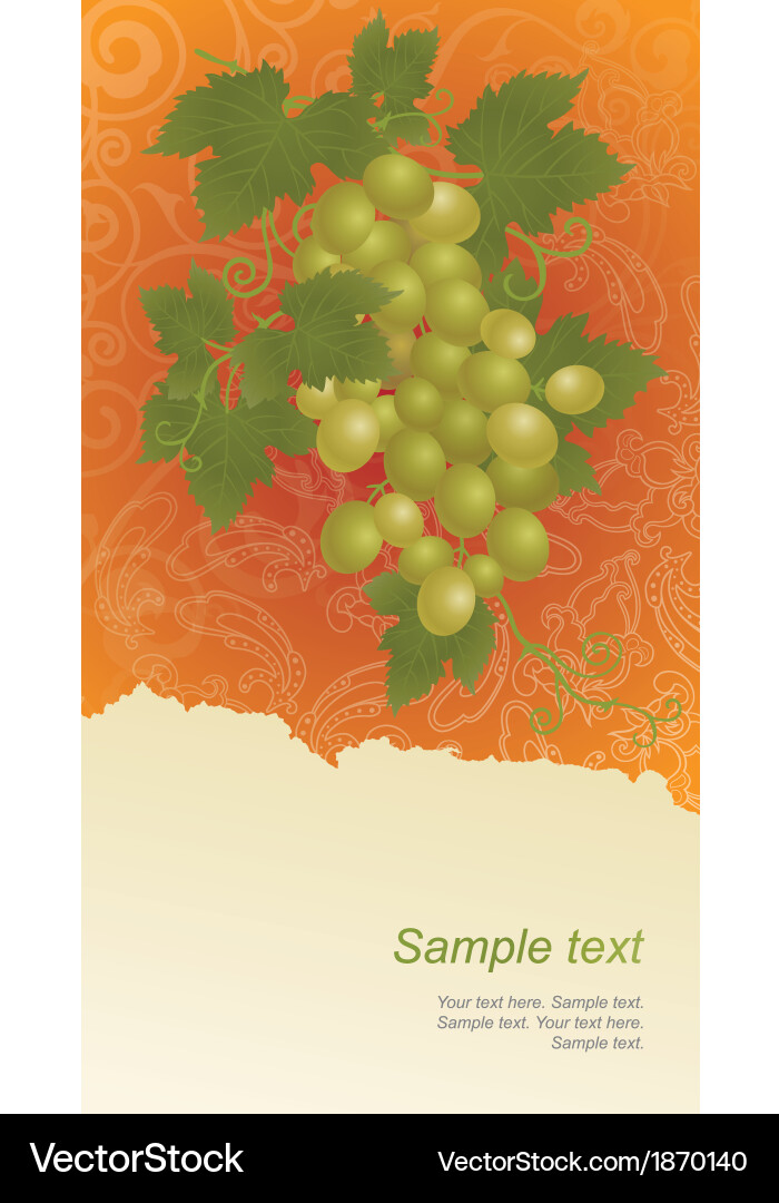 Template with vine grapes Royalty Free Vector Image