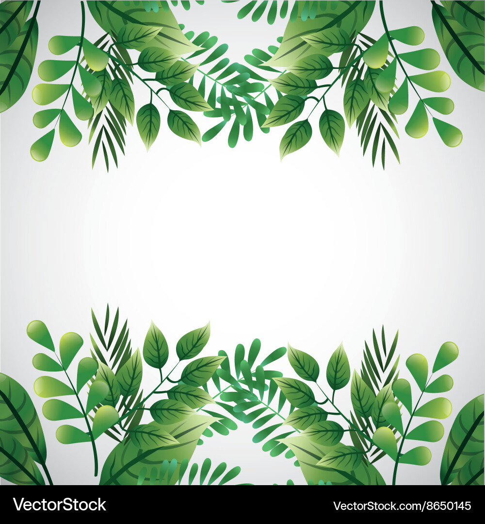 Tropical leaves design leaf icon natural concept Vector Image