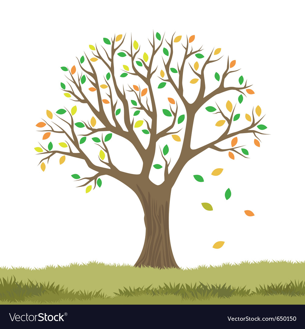 Autumn tree Royalty Free Vector Image - VectorStock