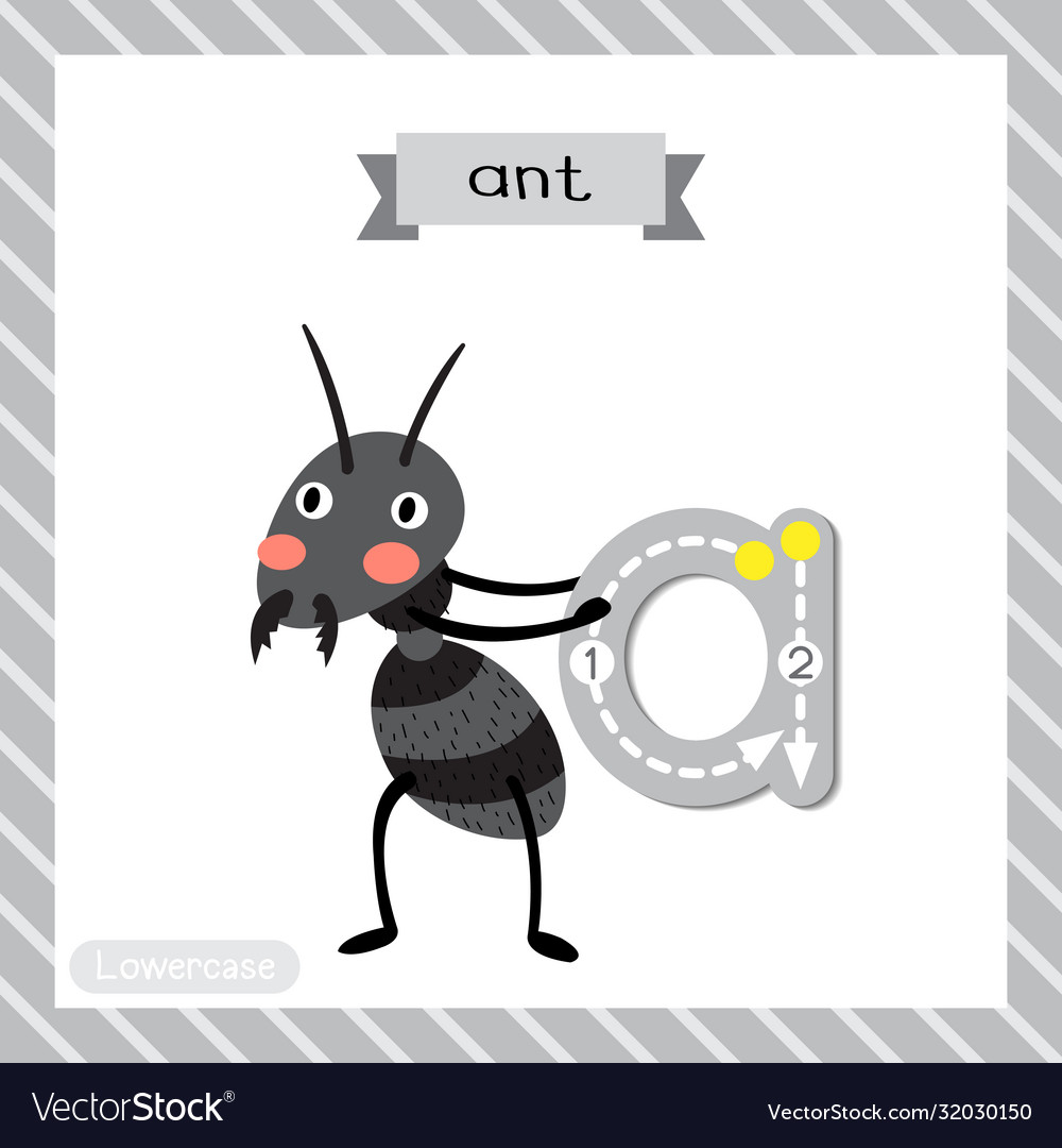 Letter a lowercase tracing black ant Royalty Free Vector