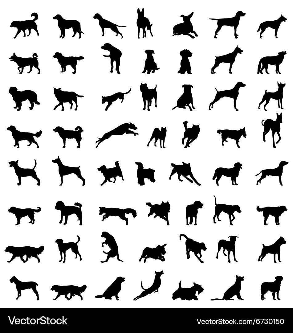 Pas Royalty Free Vector Image - VectorStock