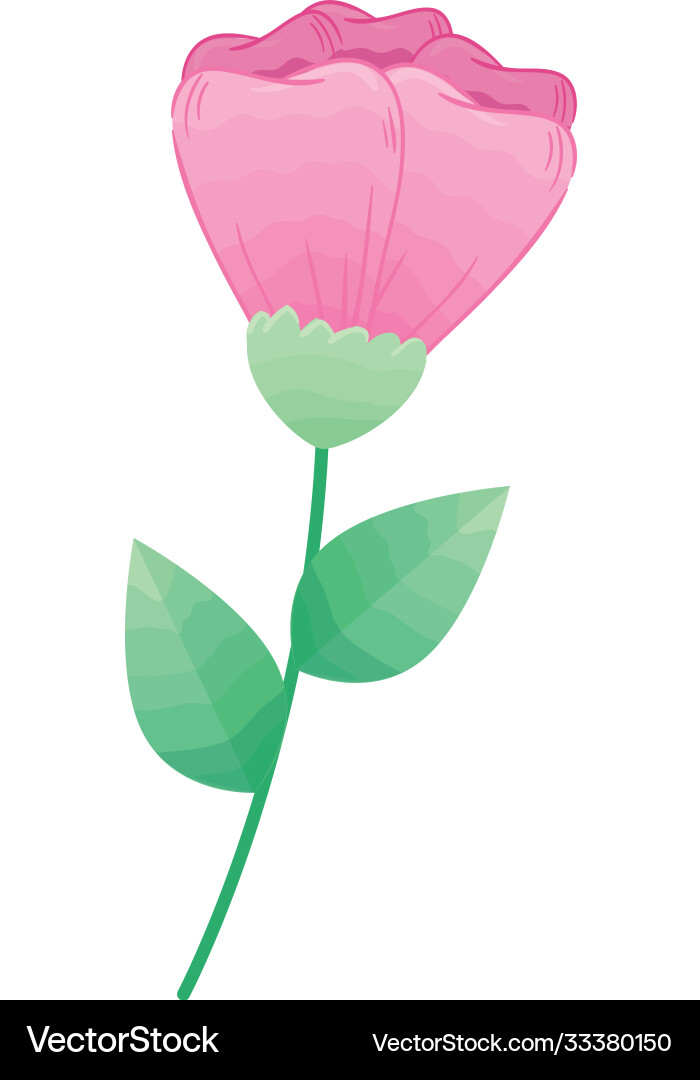 Pink flower with leaves design Royalty Free Vector Image