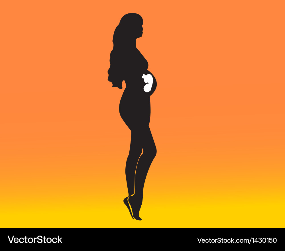 Pregnant woman Royalty Free Vector Image - VectorStock