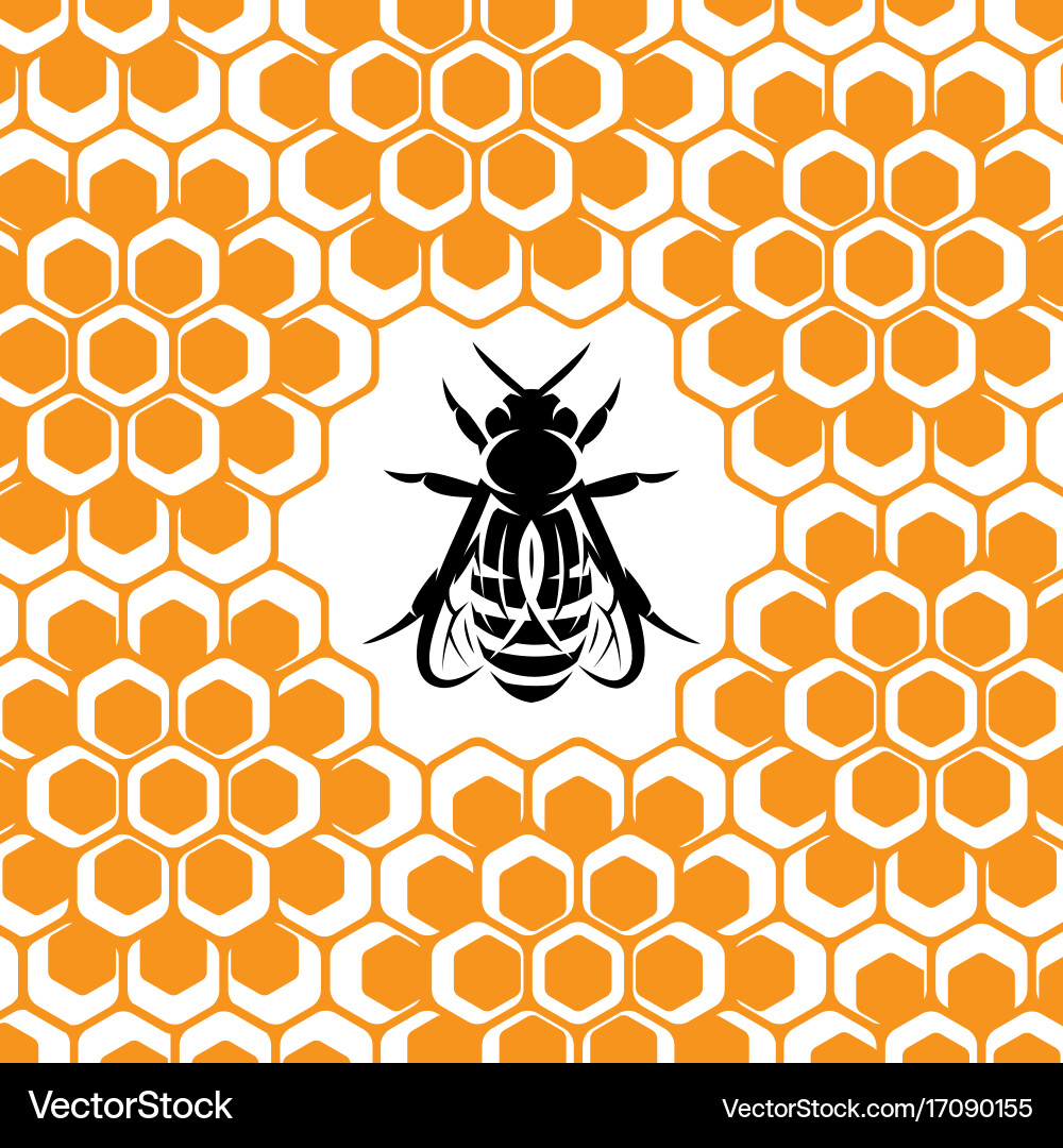 Background with honeycomb and bee Royalty Free Vector Image