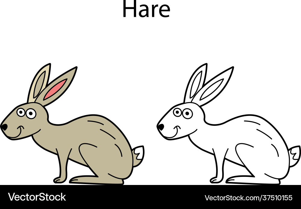 Funny cute animal hare isolated on white Vector Image
