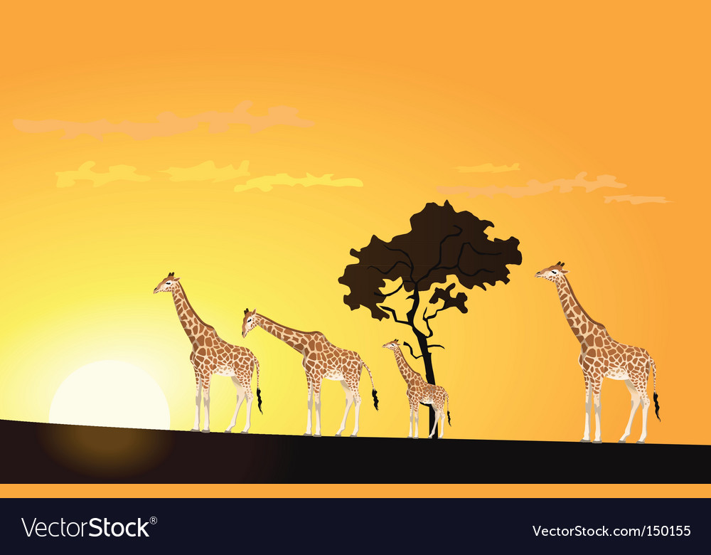 Giraffe Royalty Free Vector Image - VectorStock