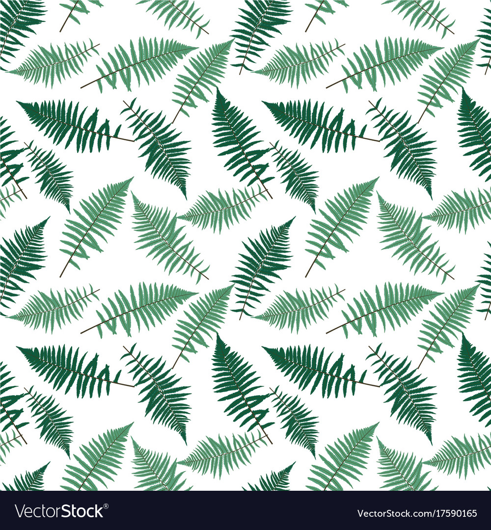 Fern leaf seamless pattern Royalty Free Vector Image