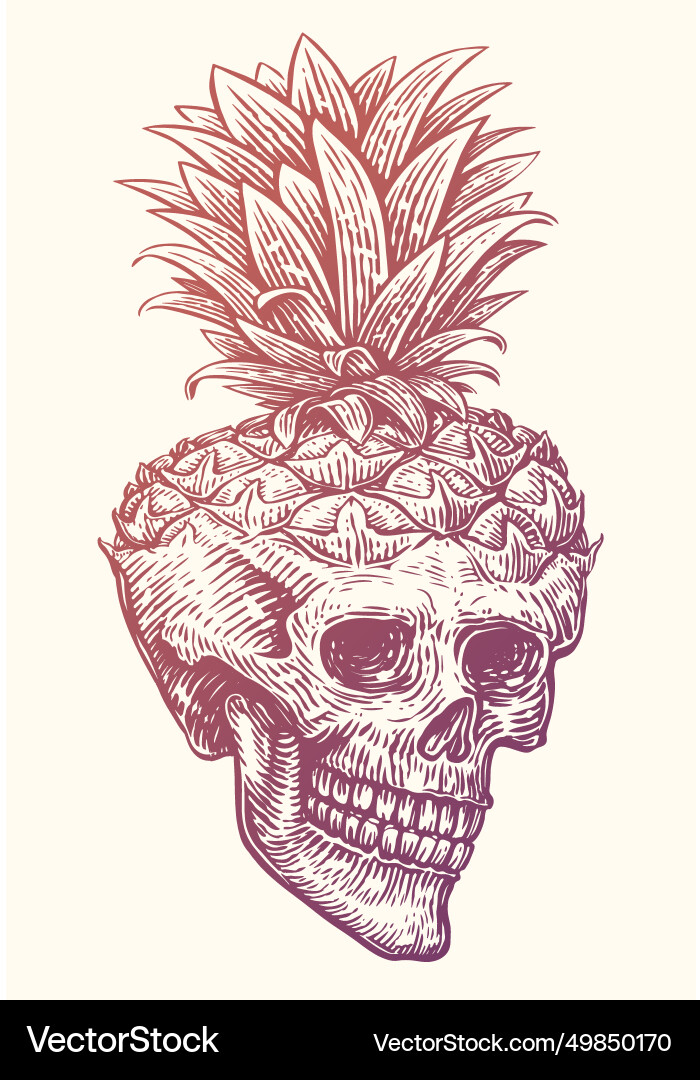 Human skull pineapple hand drawn vintage sketch Vector Image