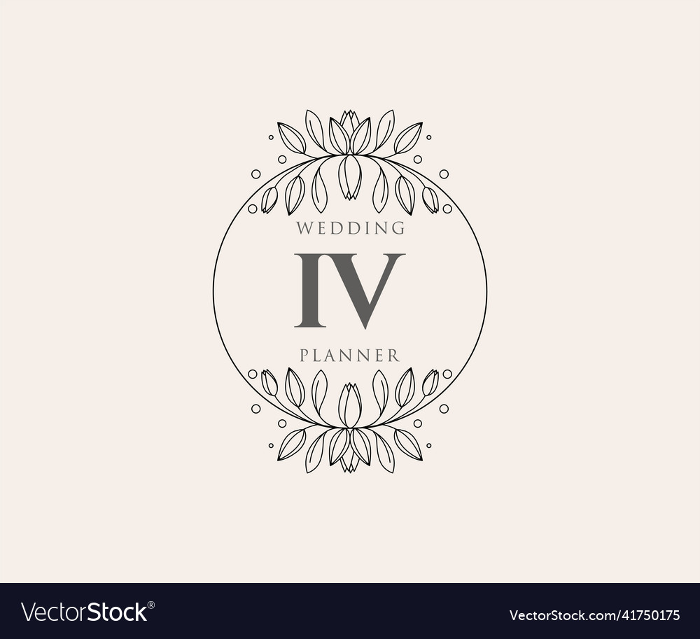 Iv initials letter wedding monogram logos Vector Image