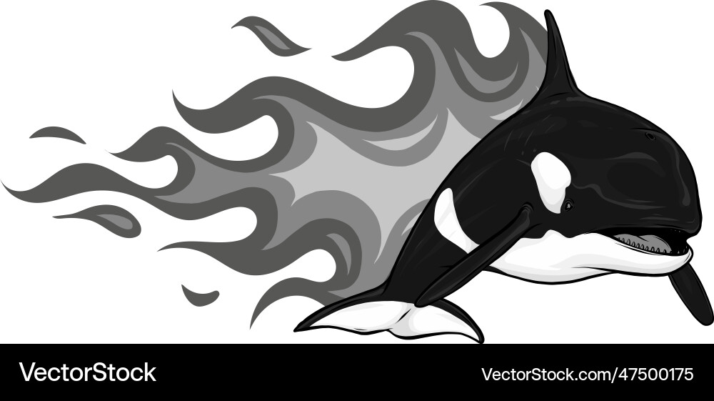 Monochromatic of killer whale Royalty Free Vector Image