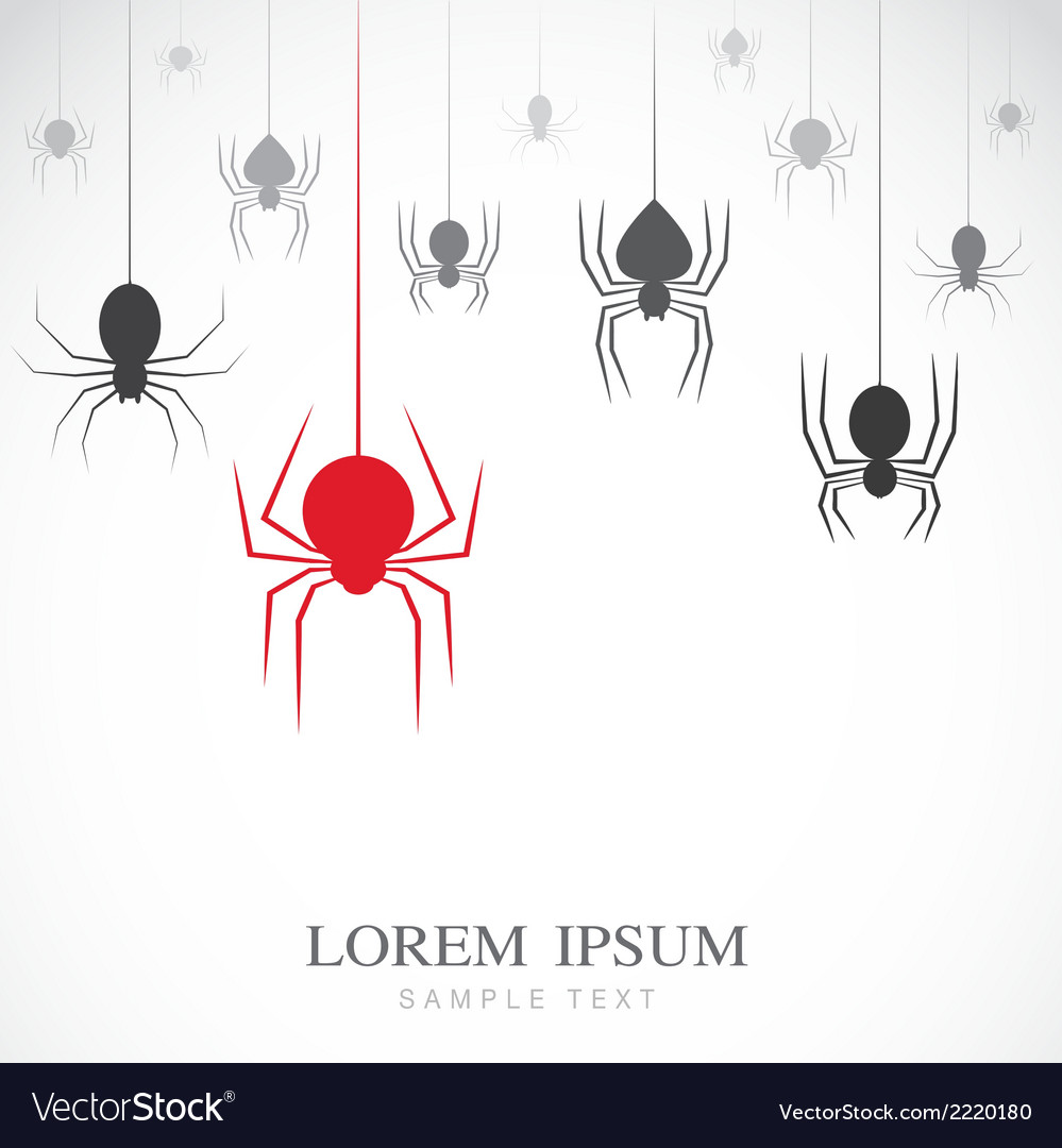 Spider Royalty Free Vector Image - VectorStock