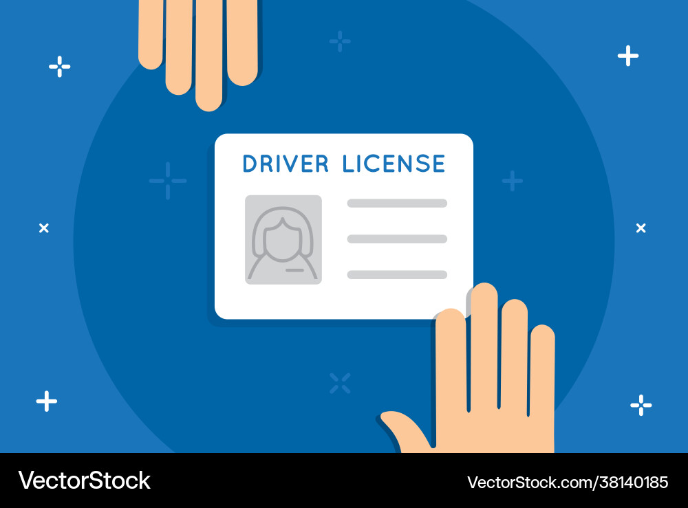 Drivers license flat minimal style colorful icon Vector Image