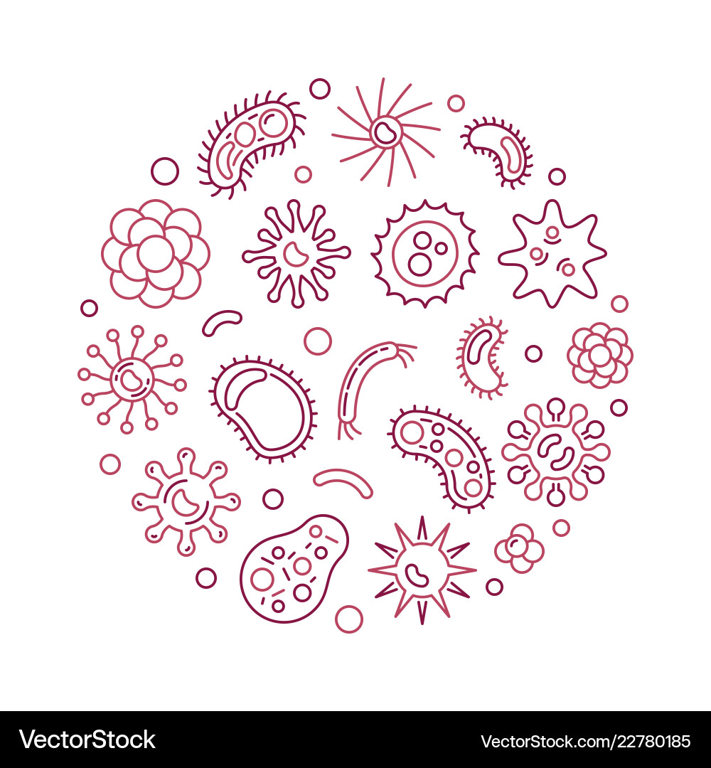 Microorganism round microbiology colorful Vector Image