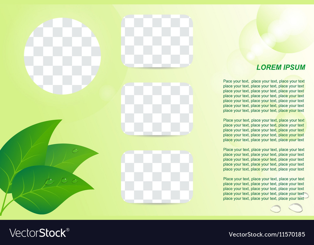 Template a4 Royalty Free Vector Image - VectorStock