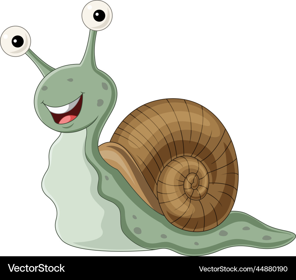 Cartoon snail isolated on white background Vector Image