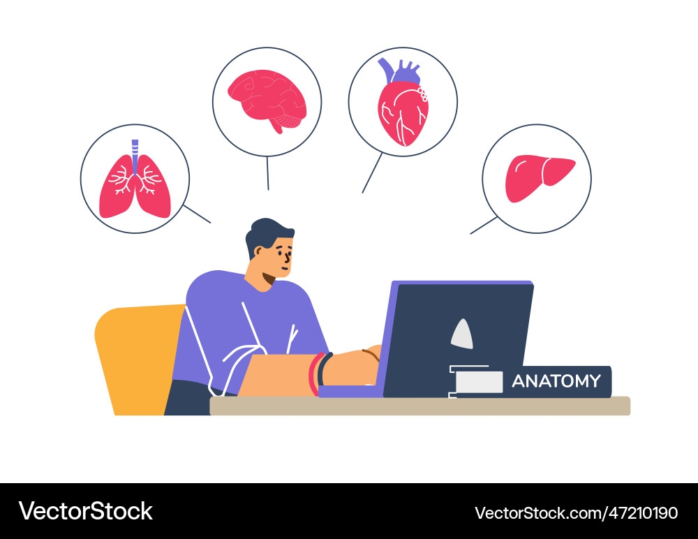 Medical student studying medicine online flat Vector Image