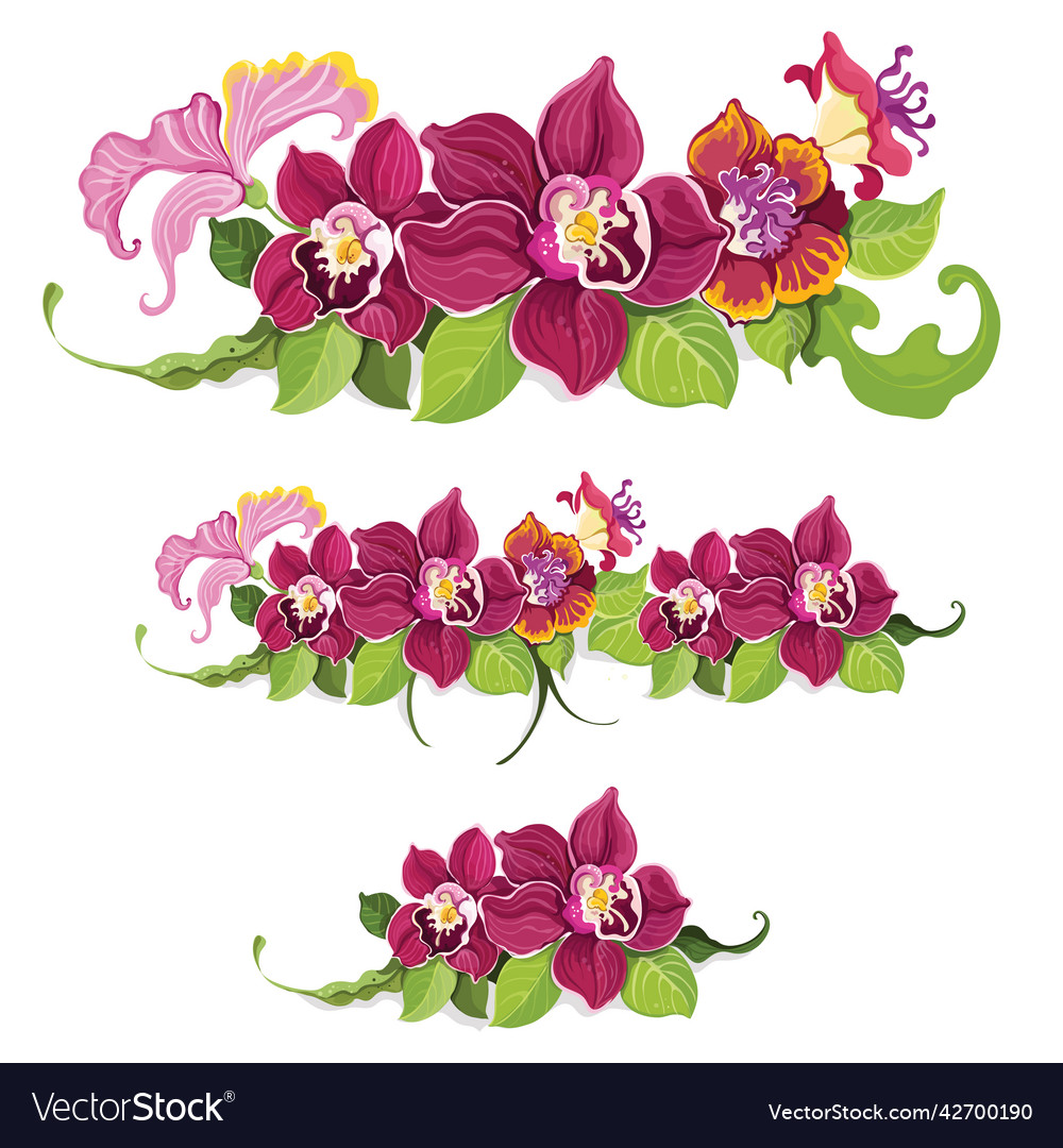 Tropical flower elements pattern Royalty Free Vector Image