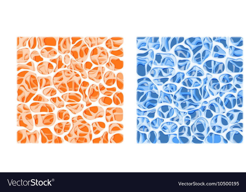 Bone background Royalty Free Vector Image - VectorStock