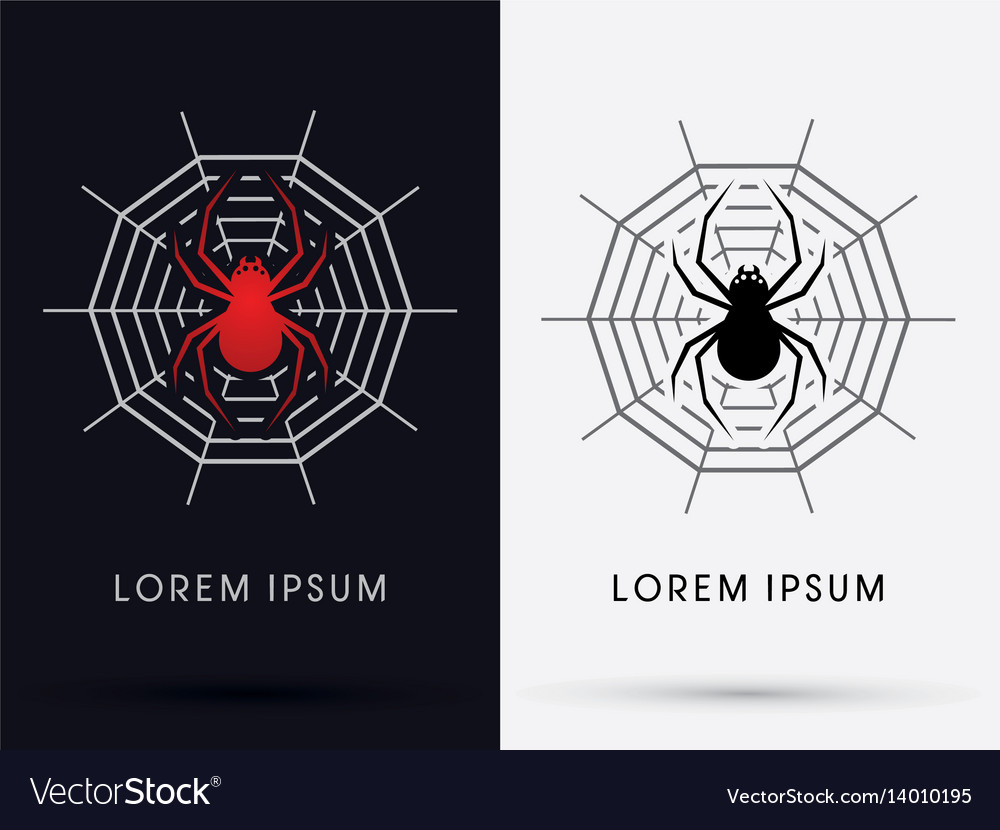 Spider shadow Royalty Free Vector Image - VectorStock
