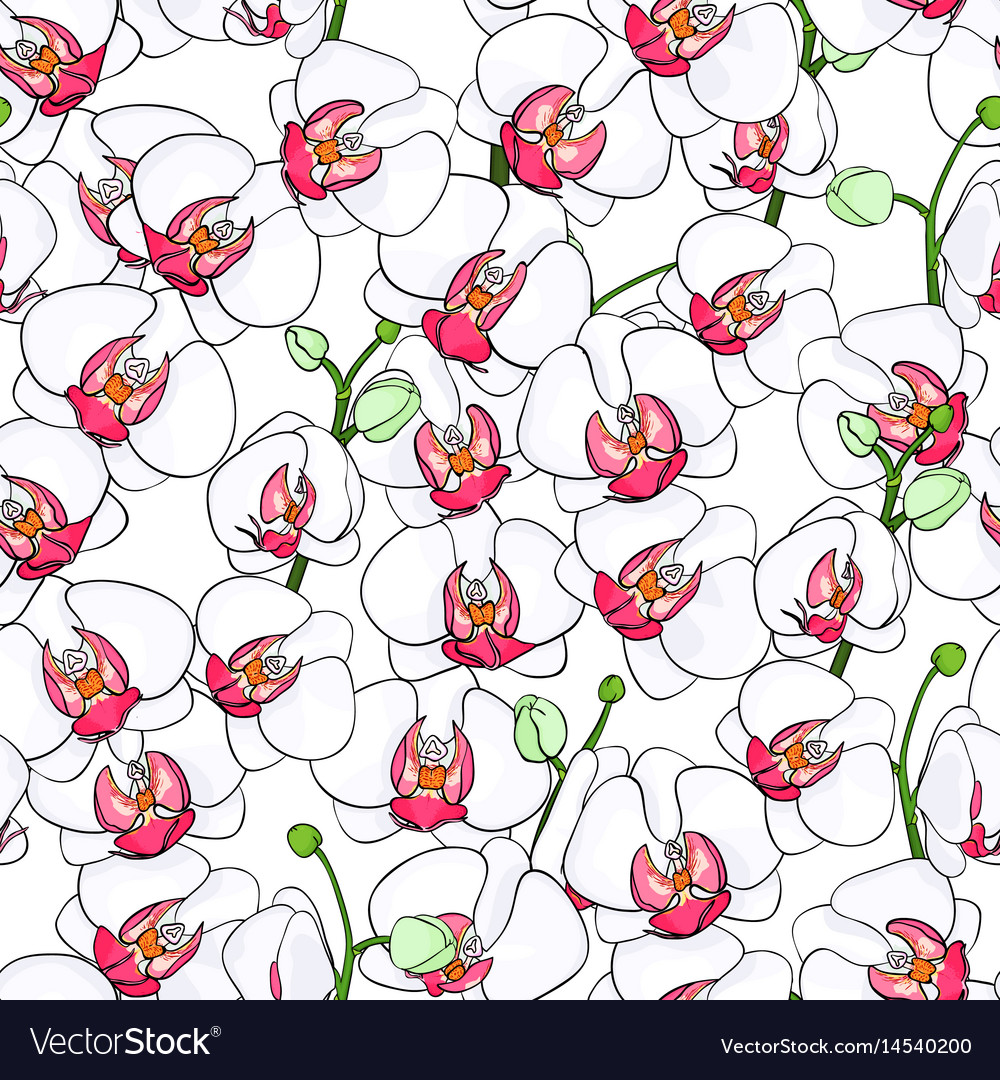 Seamless natural pattern Royalty Free Vector Image
