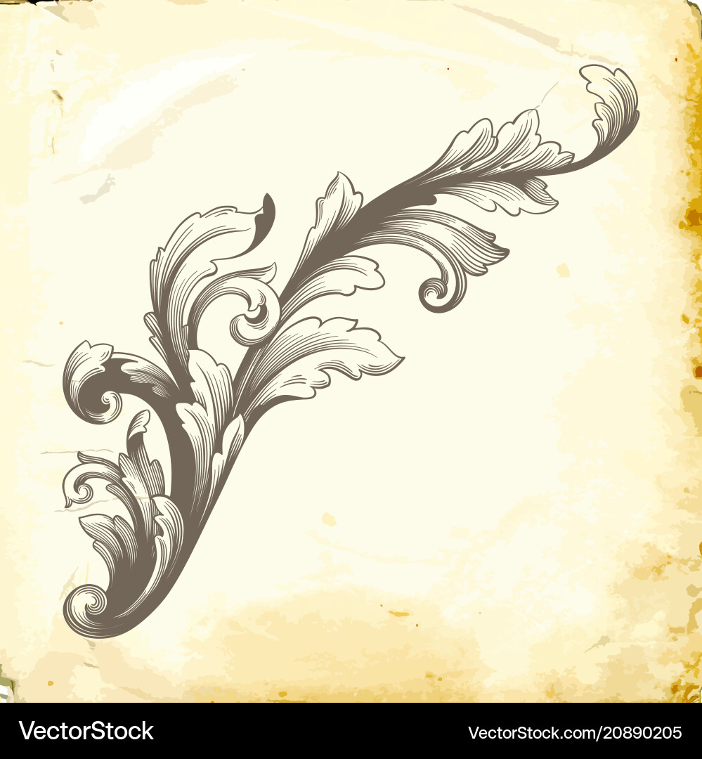 Baroque of vintage elements for design Royalty Free Vector