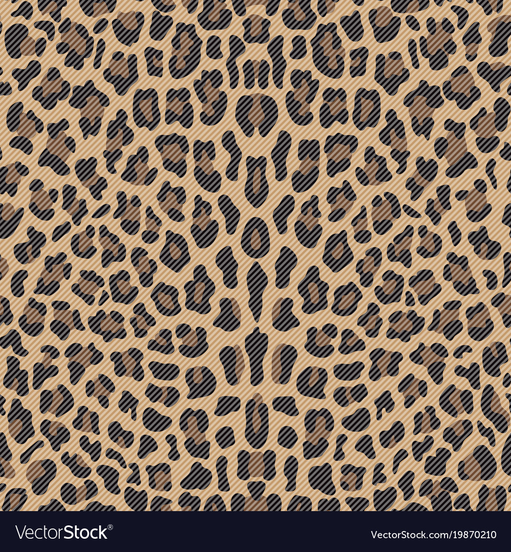 Leopard seamless pattern Royalty Free Vector Image