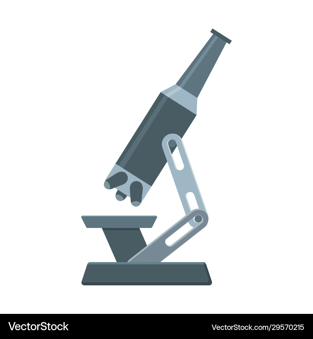 Chemical experiment laboratory equipment Vector Image