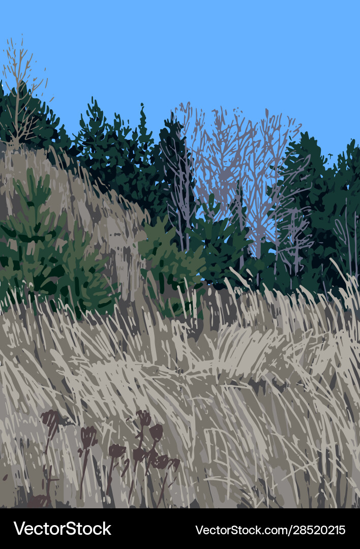 View on hill with dry grass and coniferous Vector Image