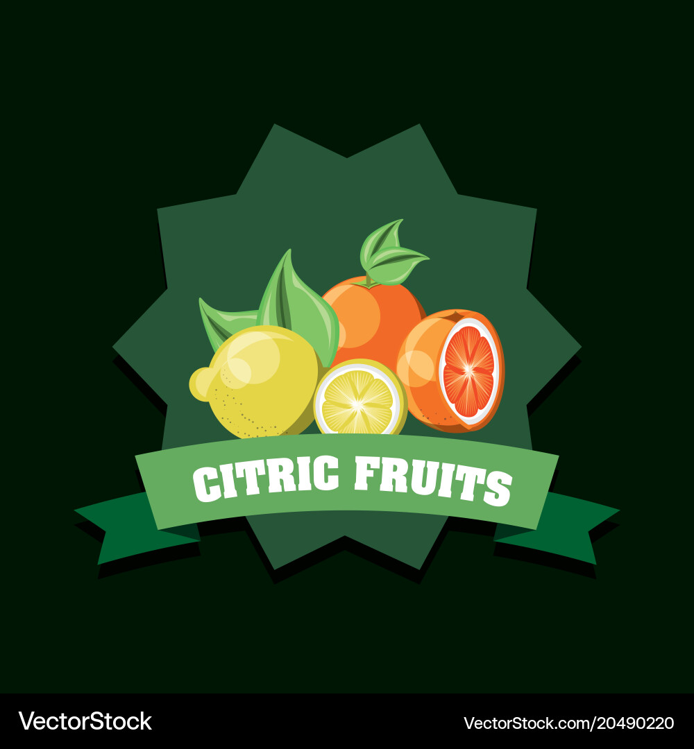 Citric fruits design Royalty Free Vector Image