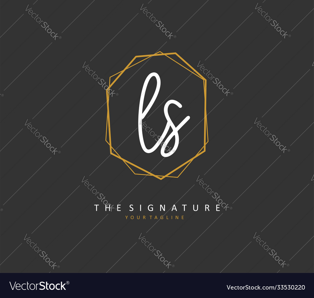 L s ls initial letter handwriting and signature Vector Image