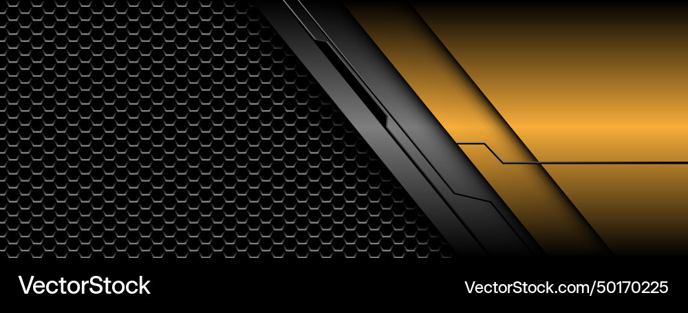 Abstract gold grey metallic black line circuit Vector Image