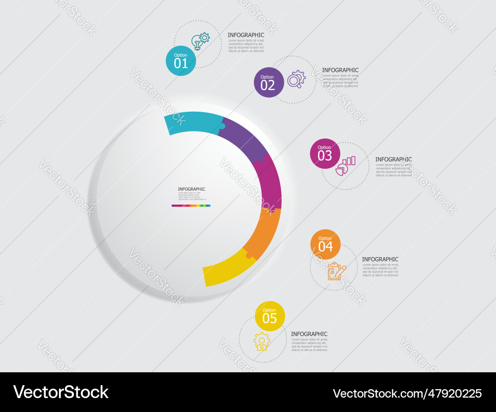 Abstract round circle steps timeline infographic Vector Image