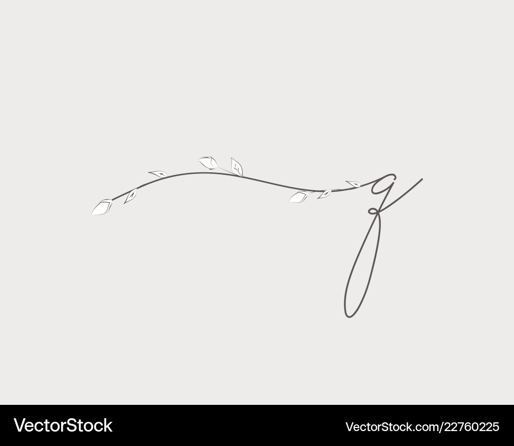 Hand lettering floral q lowercase monogram Vector Image