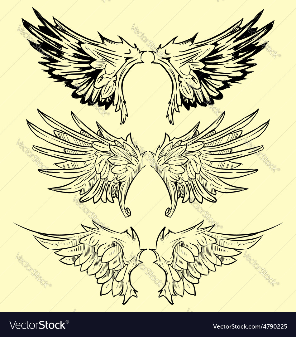 Wings Royalty Free Vector Image - VectorStock