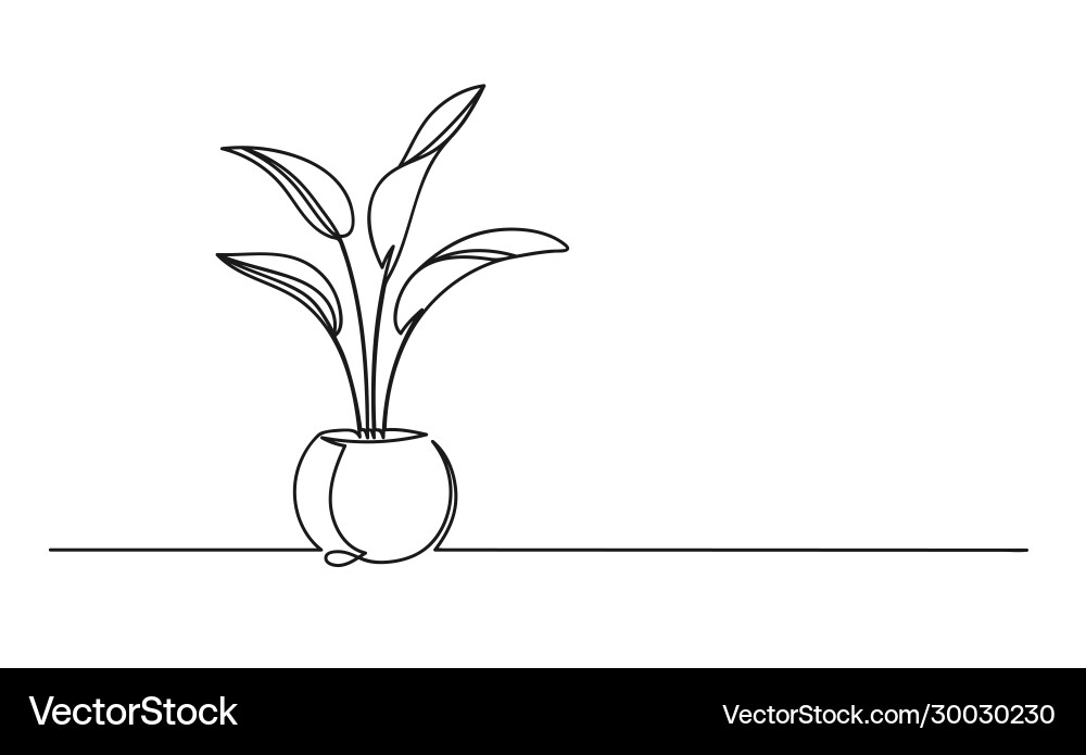Continuous one line drawing a flower in a pot Vector Image