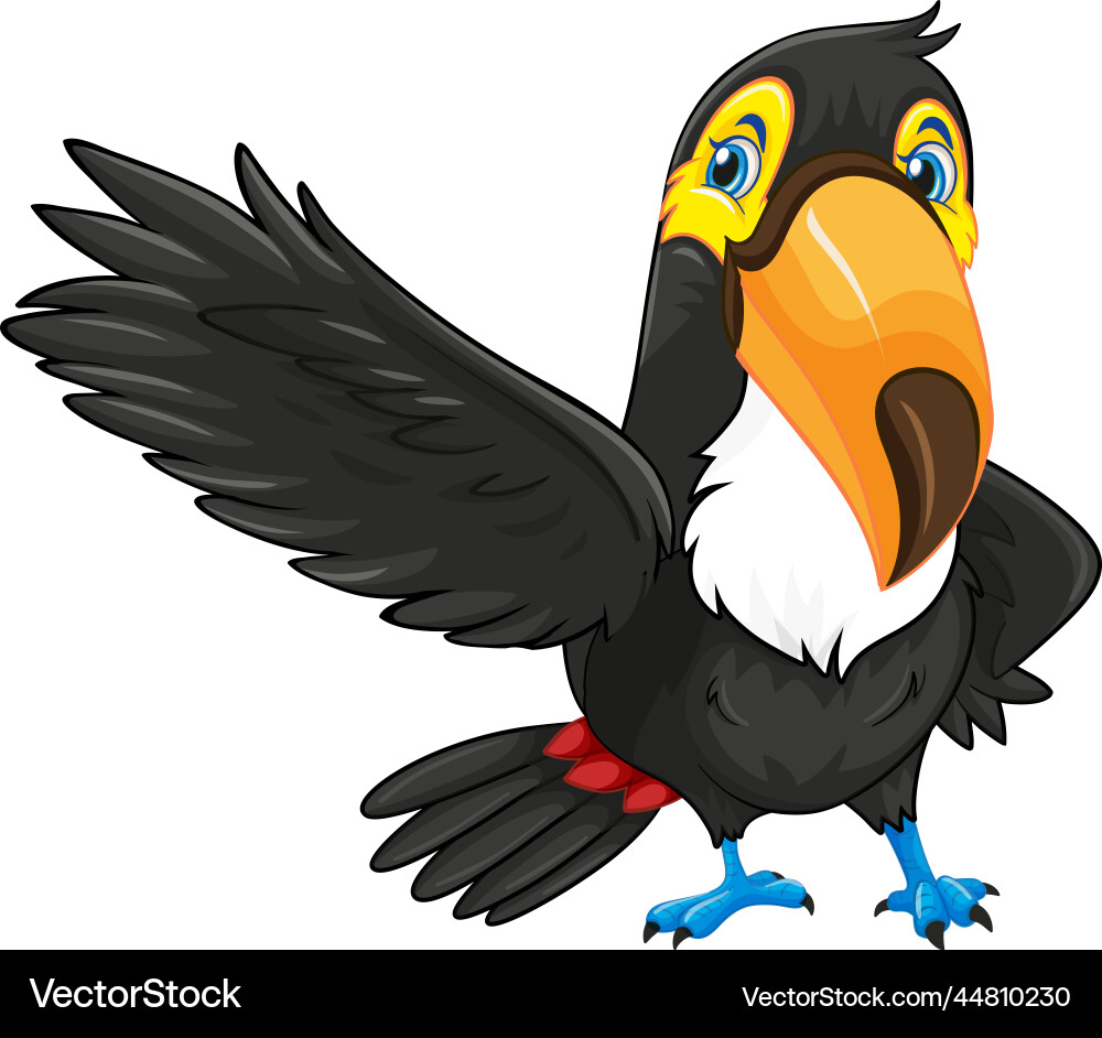 Toucan bird cartoon character Royalty Free Vector Image